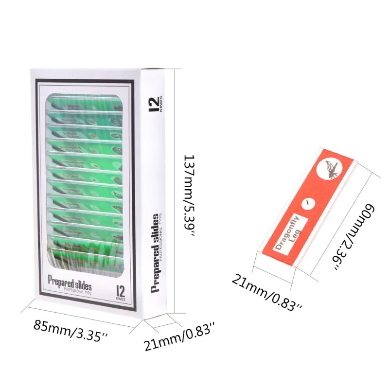 DHgate.com:48PCS Kids Microscope Slides - Animals, Plants, Flowers ...