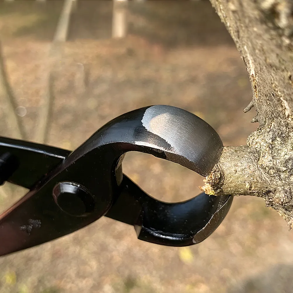 Premium 210mm Gardening Pruner: Round Nose Pliers for Precision Plant ...