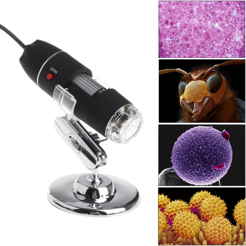 Wholesale Optimized Product Title: Handheld USB Digital Microscope Magnifier With 8 Magnifying ...