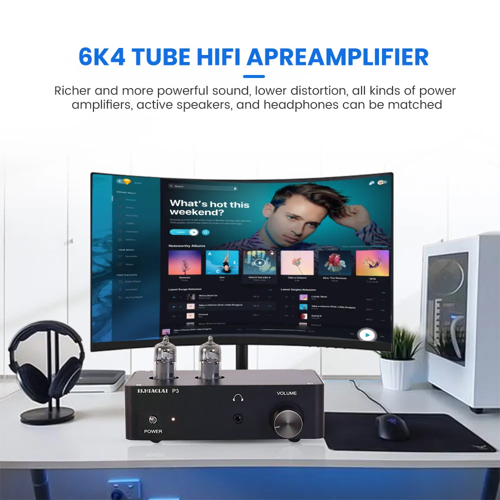 Hifi Tube Amplifier 6K4 Tube Headphone Amplifier Preamp Mini Tube Amp ...