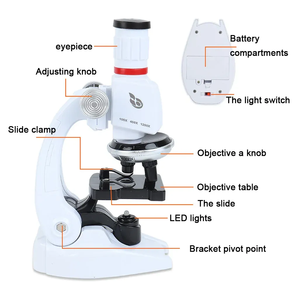 digital binocular compound microscope