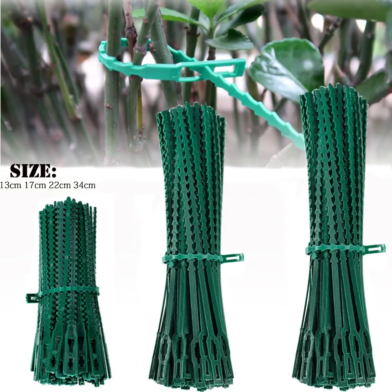 Garden Clips Adjustable Plastic Plant Cable Ties: Reusable Shrub ...