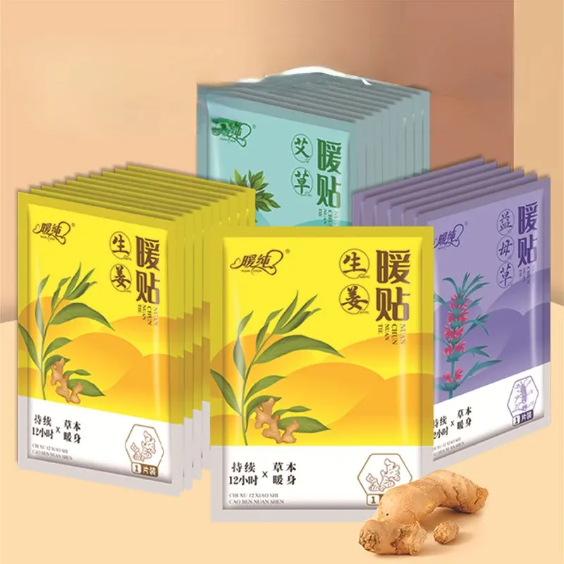 10 Pack Self-Heating Warm Ginger Stickers: Cold-Proof Body Warmers for ...