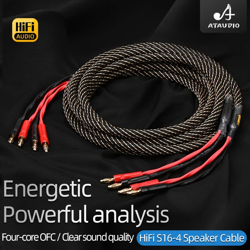 speaker cable hifi