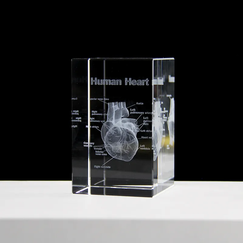 3D Laser Engraved Heart Organ Crystal Cube - Paperweight Anatomical ...