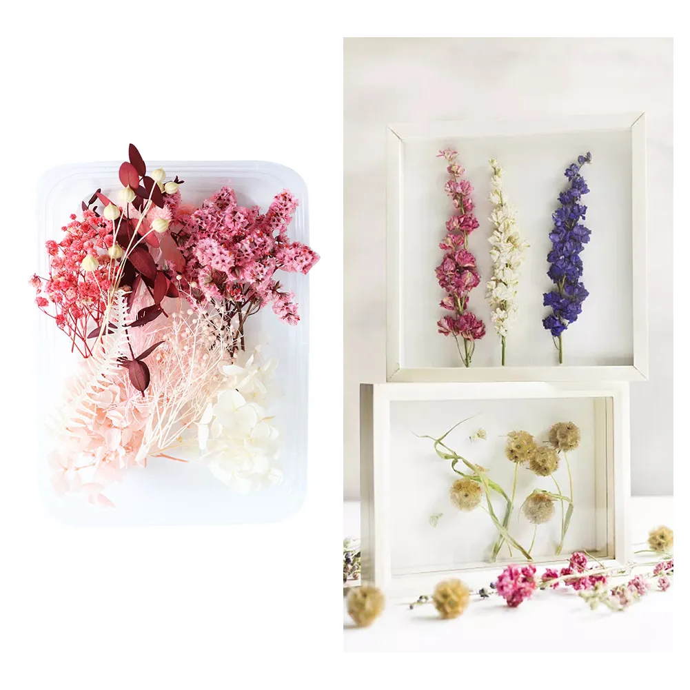Vivid Dried Flower DIY Craft Pack: Long-Lasting Floral Embellishments ...