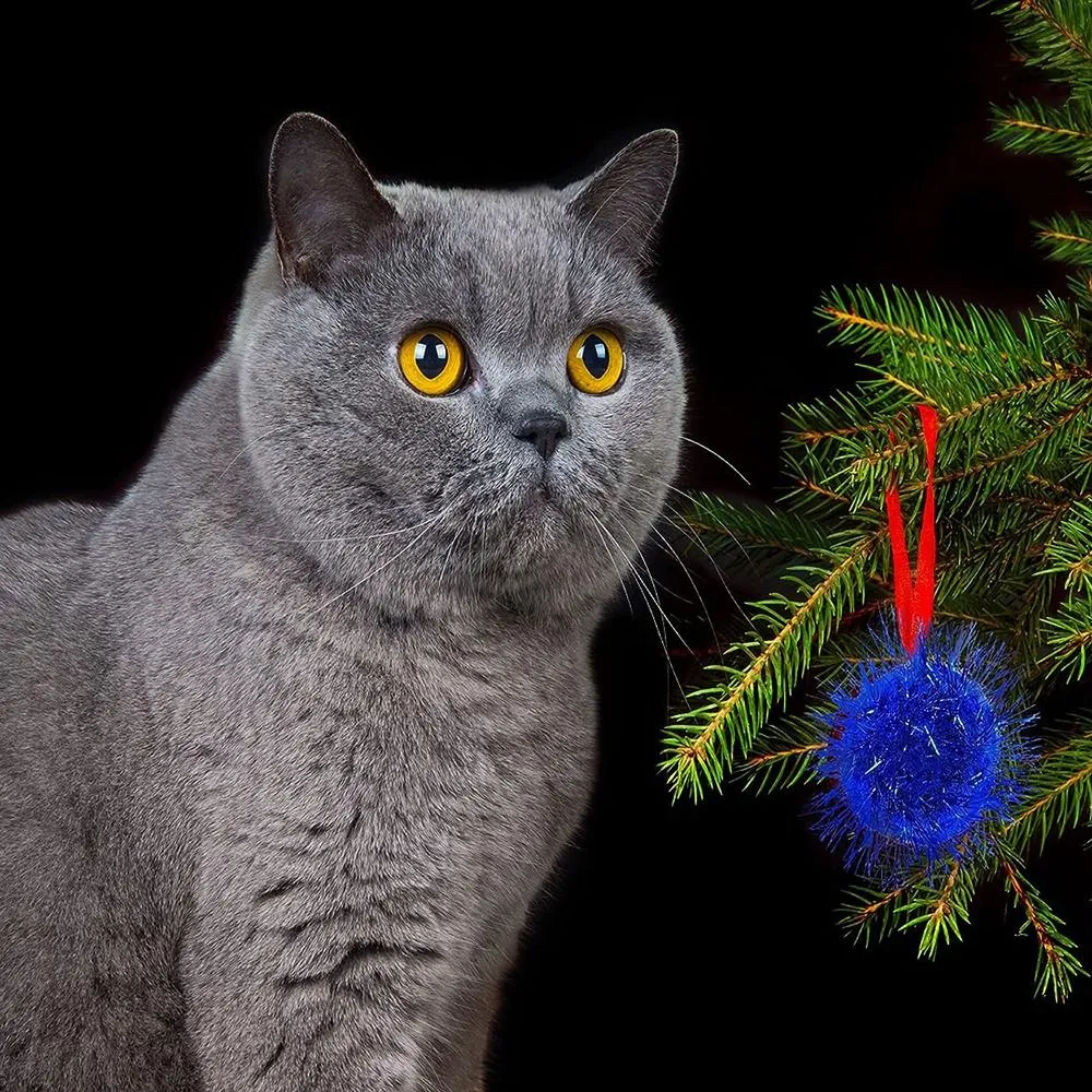 50 Pack 1 Inch Cat Sparkle Balls, Interactive Pom Pom Toys for Cats ...