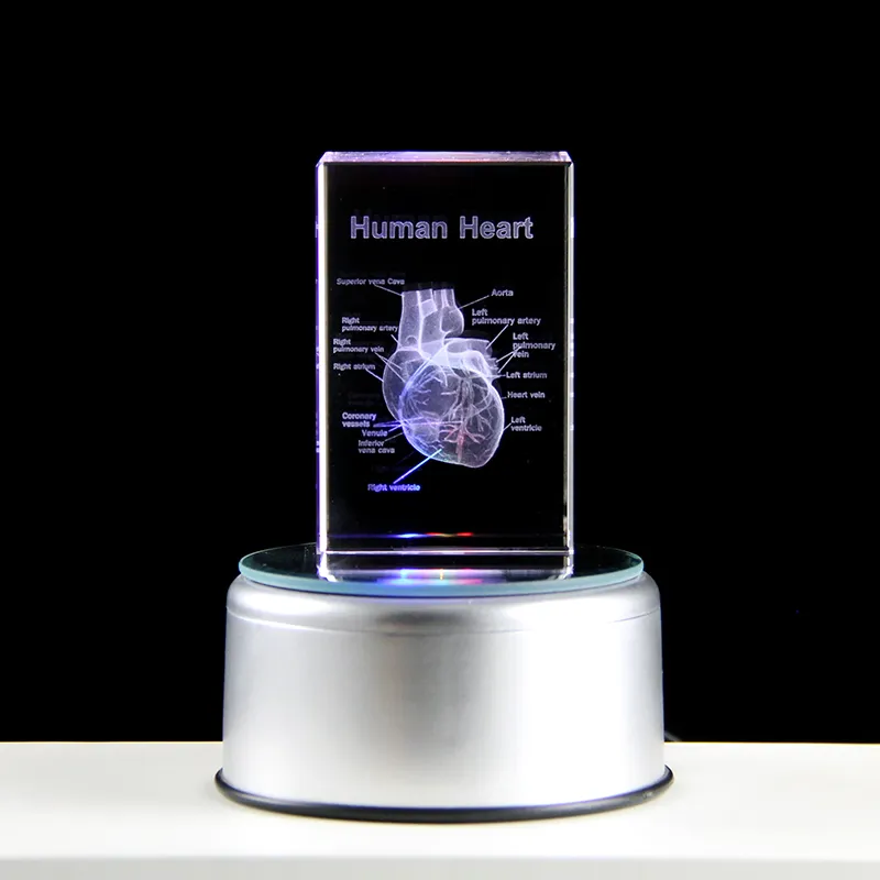 3D Laser Engraved Heart Organ Crystal Cube - Paperweight Anatomical ...