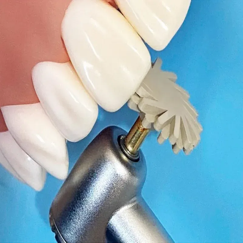 Diamond Core Sanding Disc Dental Polishing System: Rubber Polishers ...