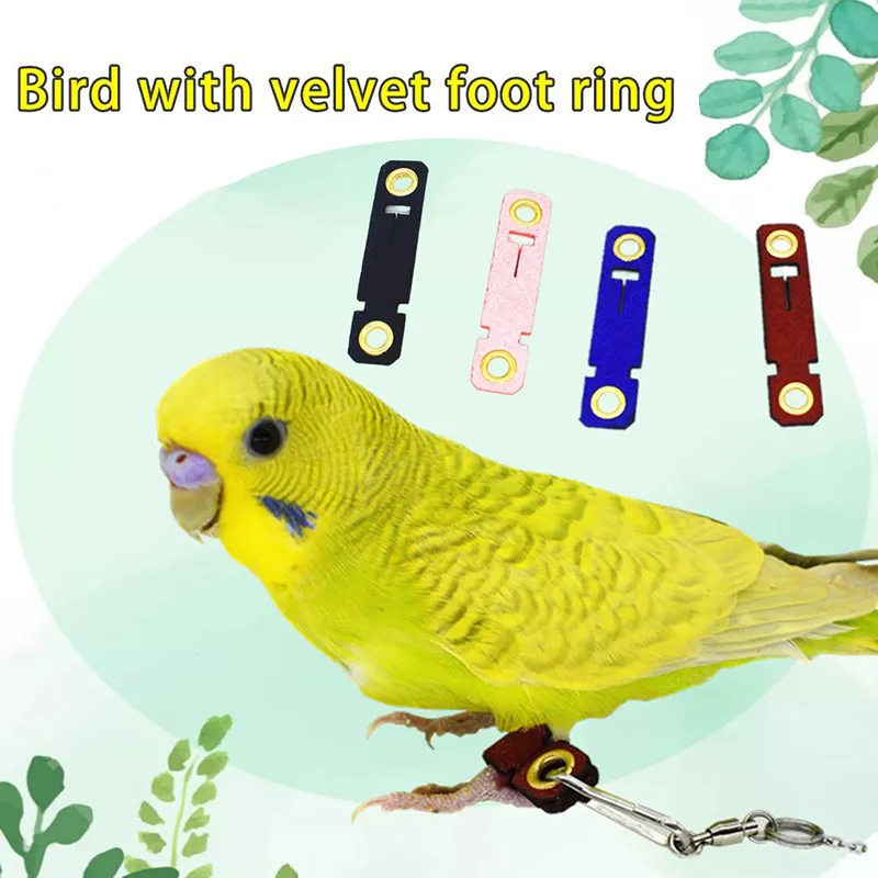 Suede Leather Bird Leg Rings - 7 Sizes, Adjustable Ankle Foot Chain for ...