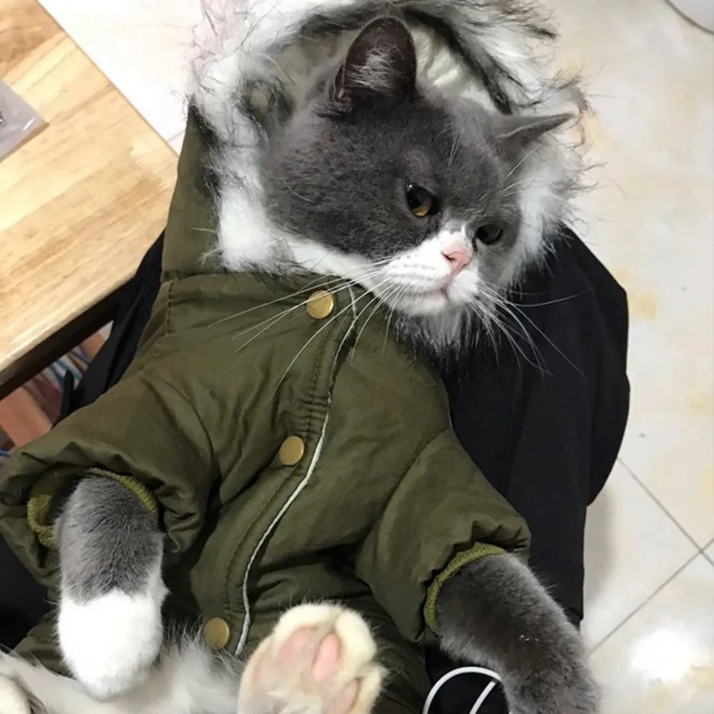 Waterproof Winter Khaki Dog Coat Coat For Small To Medium Breeds Warm ...