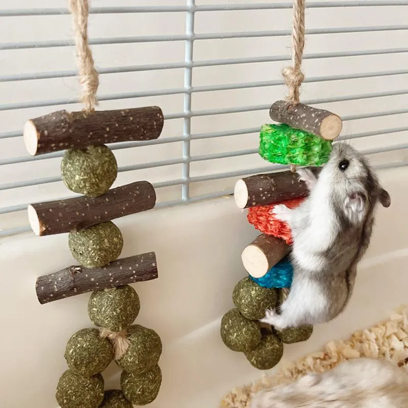 Wooden Chew Toys For Small Animals Natural Wood Chews For Guinea Pigs ...