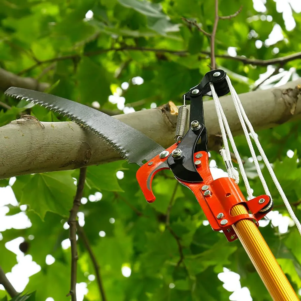 tree branch trimmer