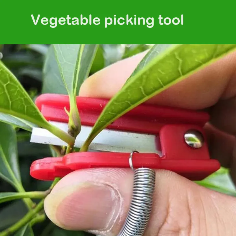 2024 Vegetable Thump Knife Harvester | Ergonomic Veggie Fruit Picker ...