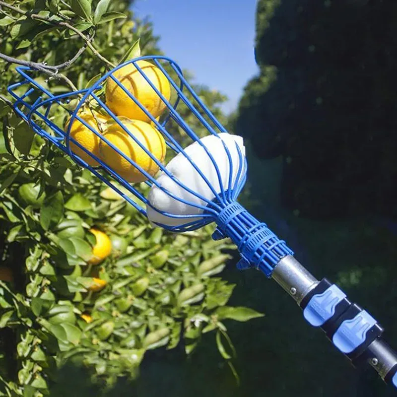DHgate.com:Fruit Picker Basket Catcher - Sturdy Stainless Steel Head ...