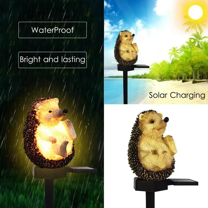 solar hedgehog