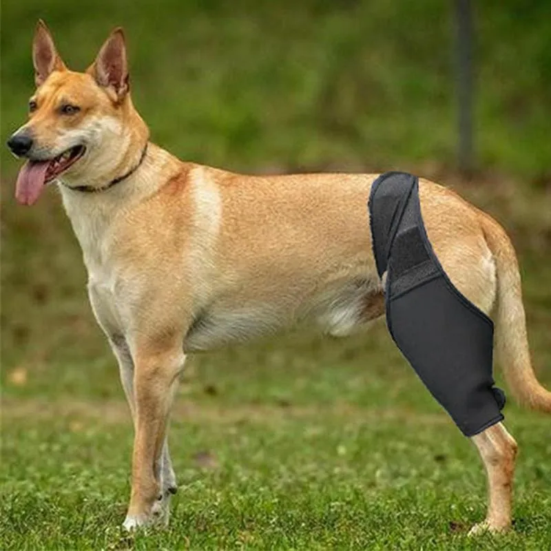 Pet Dog Bandages Recovery Sleeve with Non-Slip Stripes Knee Bandage ...