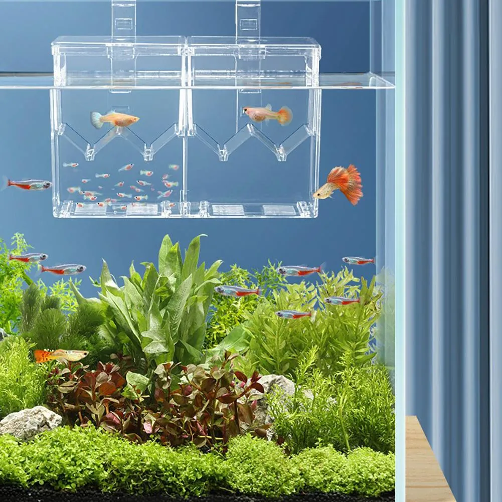 how to make your fish tank clear