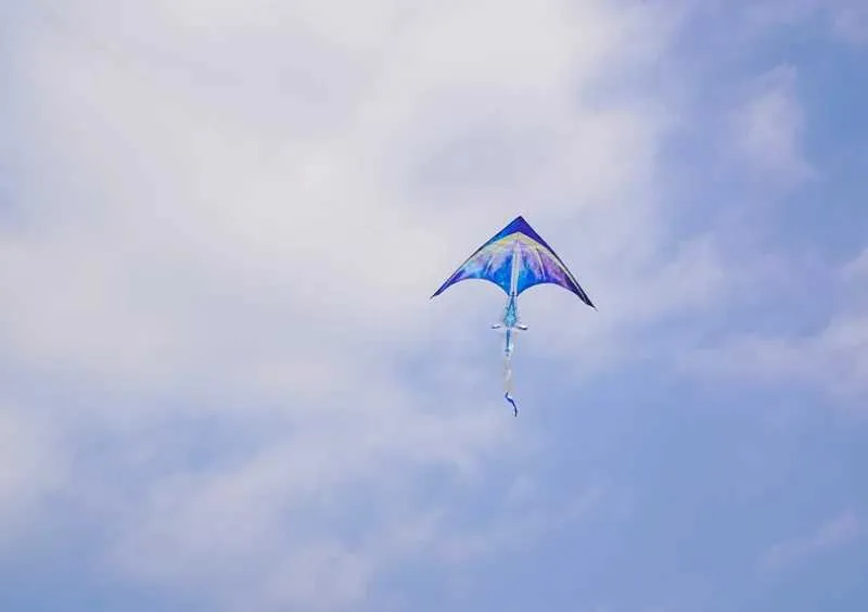 DHgate.com:Kite Set Anime Kite with Sword Sheath Long Tail Giant Kite ...