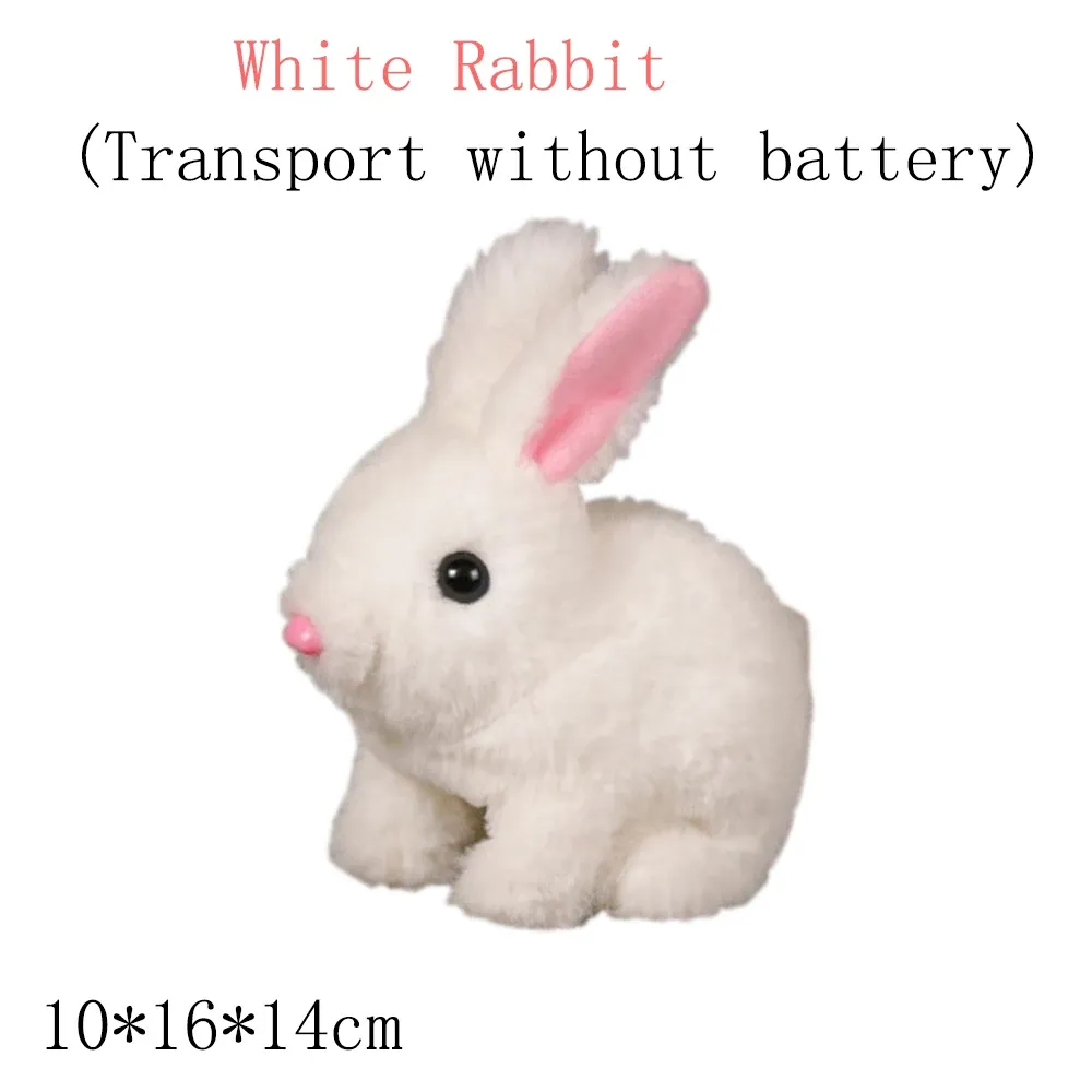 electric rabbit