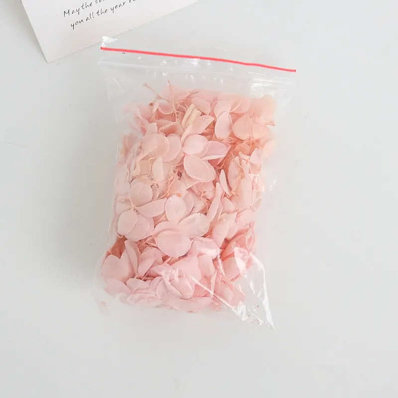 Eternal Hydrangea Flower Head, Grade A Preserved Blooms For DIY Crafts ...