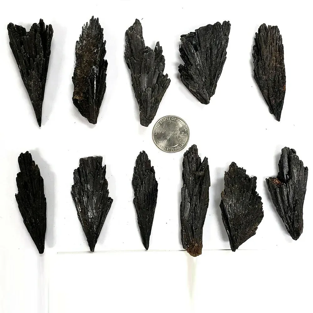 Natural Black Tourmaline & Black Kyanite Crystal Blades | Fan Shape ...