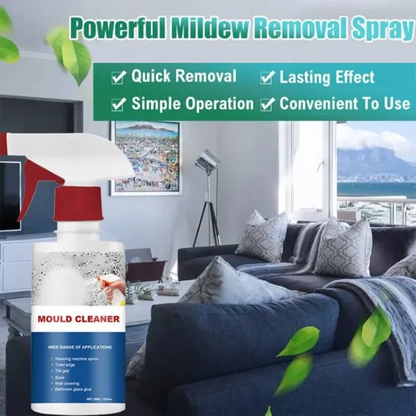 mildew cleaner foam