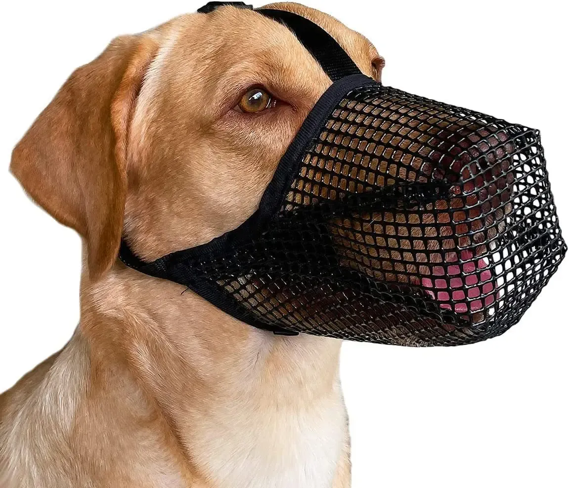 Breathable Mesh Anti-Bark Adjustable Dog Muzzle for Long-Snout Dogs ...