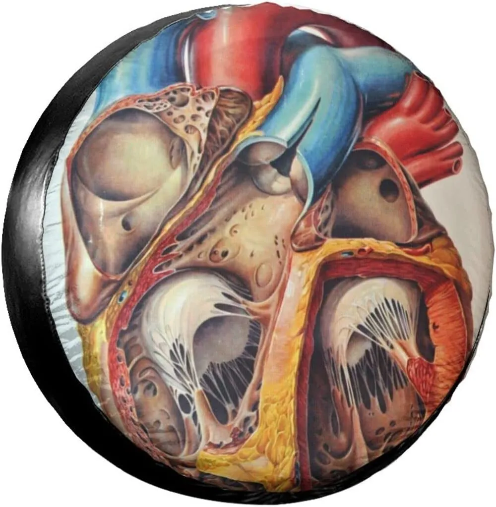 Cubierta De Neumáticos De Repuesto De Estampado De Anatomía Humana ...