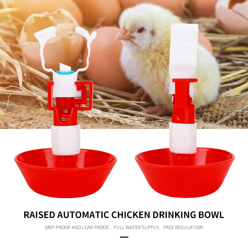 5/Automatic Chicken Water Nipple Drinker Cups Hanging Poultry Water ...