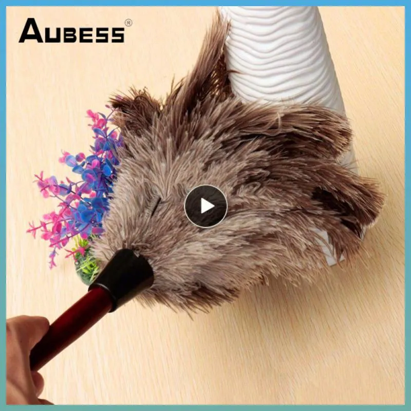 Ostrich Feather Duster with Long Handle: Perfect for Cleaning Walls and ...