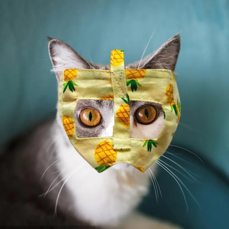 DHgate.com:Cat Muzzle for Nail Trimming & Grooming, Breathable Mesh ...