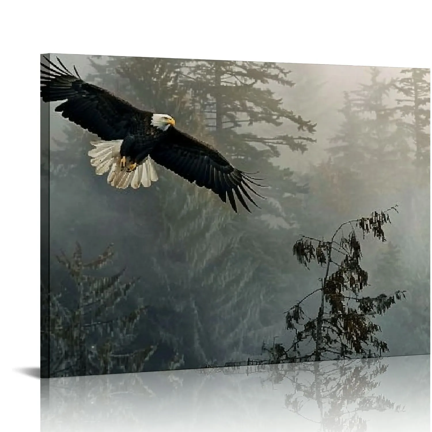 bald eagle.flying coloring page.html.html.html.html.html.html.html.html.html.html.html.html.html.html.html.html