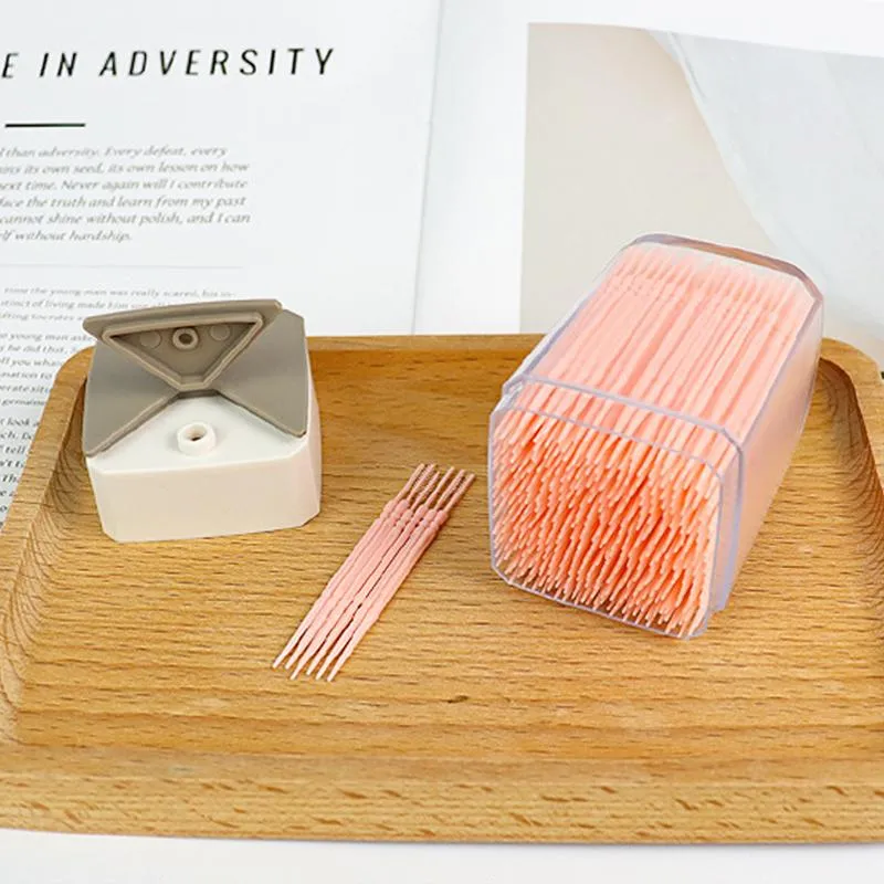 Double-Ended Toothpicks Serrated Picks w/Organizer for Dental Hygiene ...