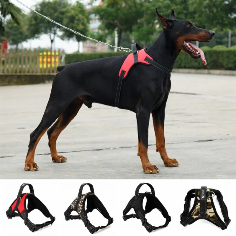 doberman no pull harness