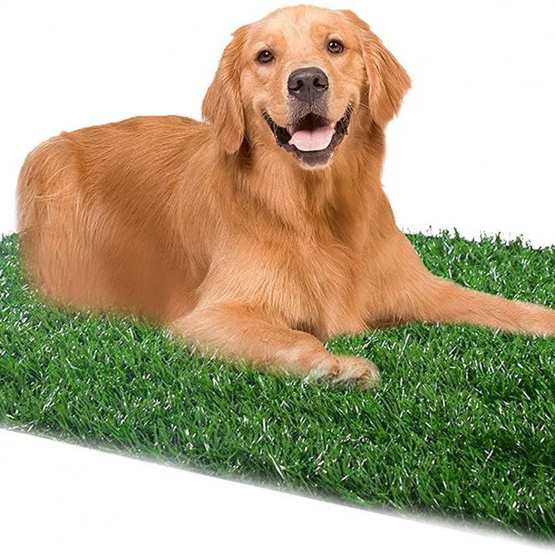 DHgate.com:Multi-Use Tear-Resistant Pet Training Pads for Poop and ...