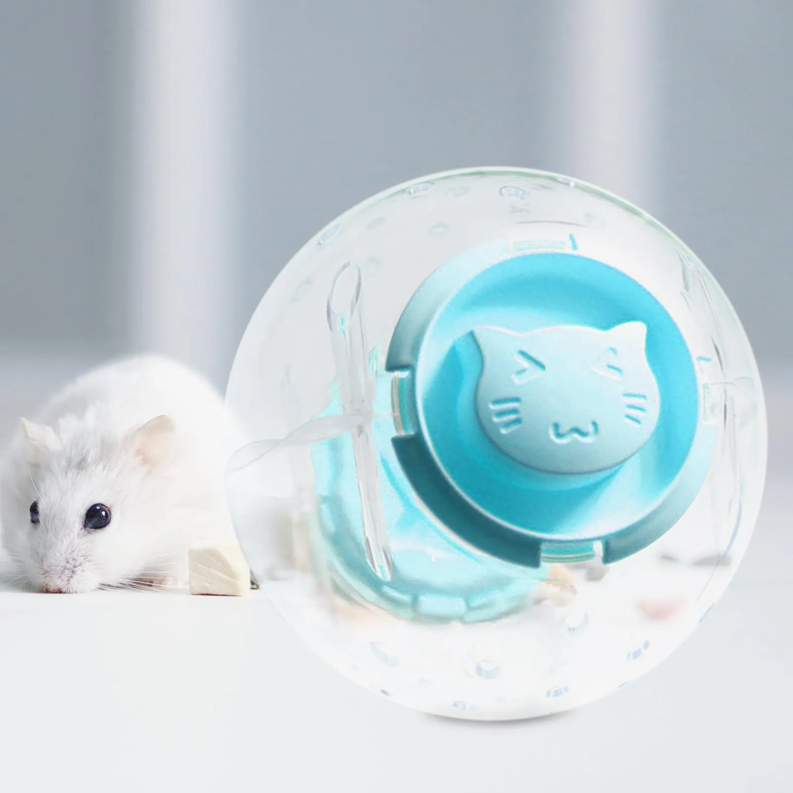 hamster ball cat