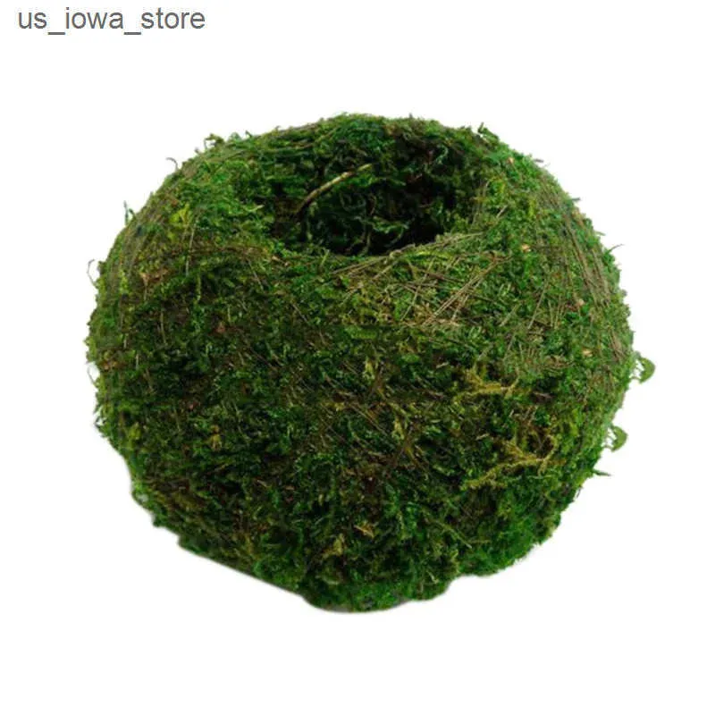 Creative DIY Moss Ball Planter Pot For Gardening, Bonsai, And Home ...