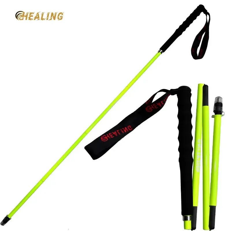 100% Carbon Fiber Trekking Poles, Ultra Strong, Lightweight, Foldable ...