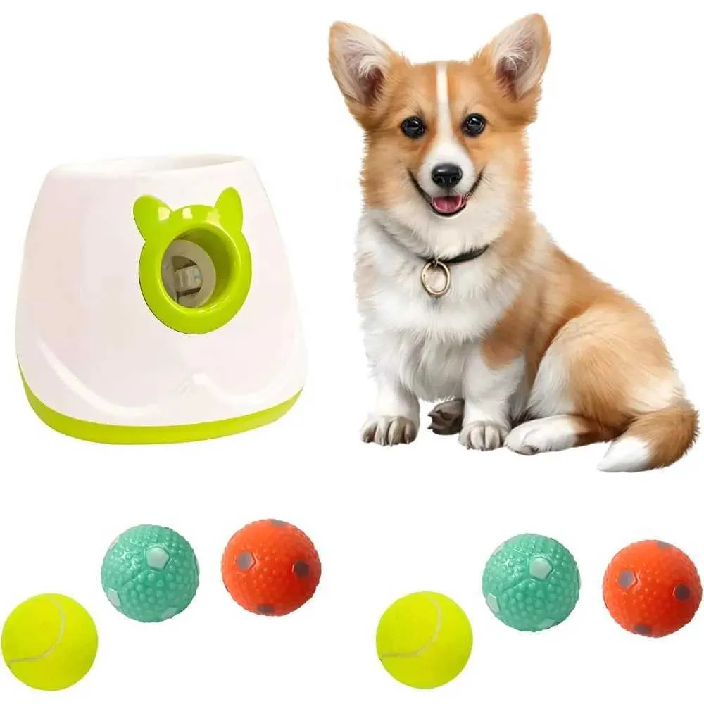 Wholesale Interactive Automatic Dog Dog Ball Toy Automatic Indoor ...