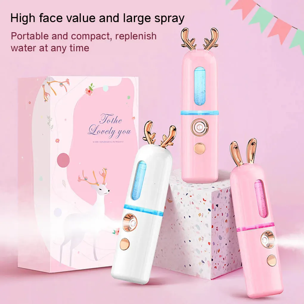 Portable Nano Facial Mist Electric Sprayer With USB Nebulizer ...