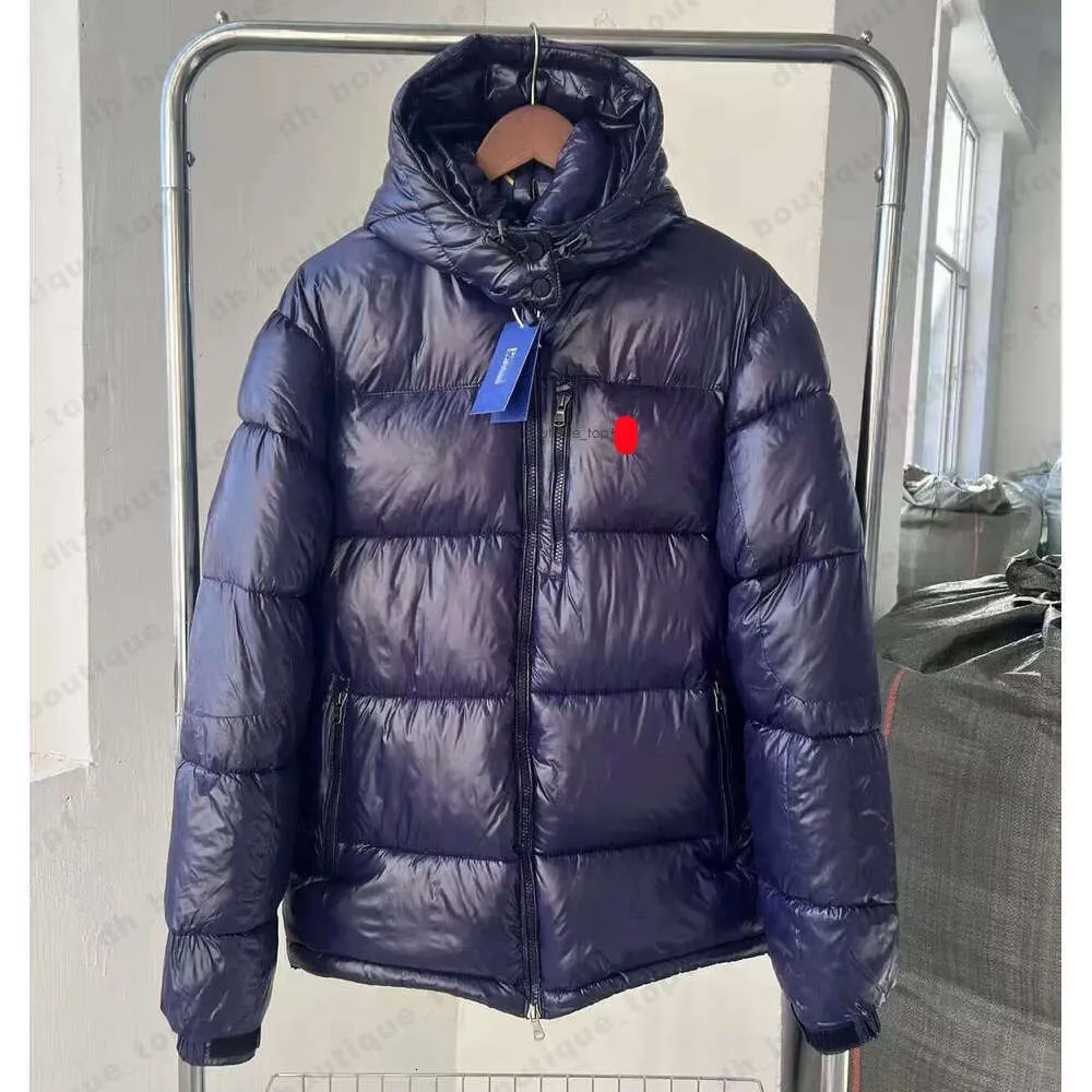 Men's Winter Jacket Hooded Down Coat with Embroidery and Detachable ...