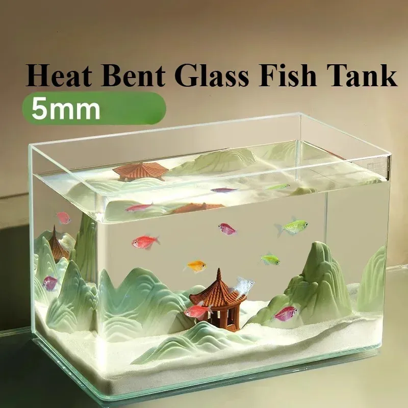 Explosion Proof Glass Fish Tank Supplies With Decorative Accessories ...