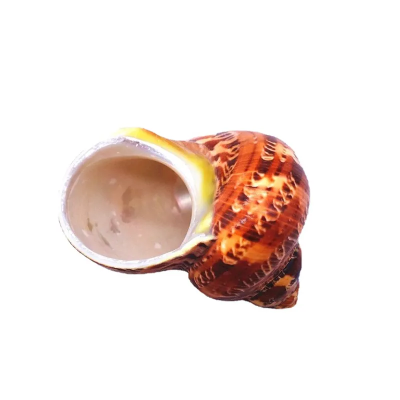 Multi Color Organic Conch Seashells Decorative... From Dh4402004, $16. ...