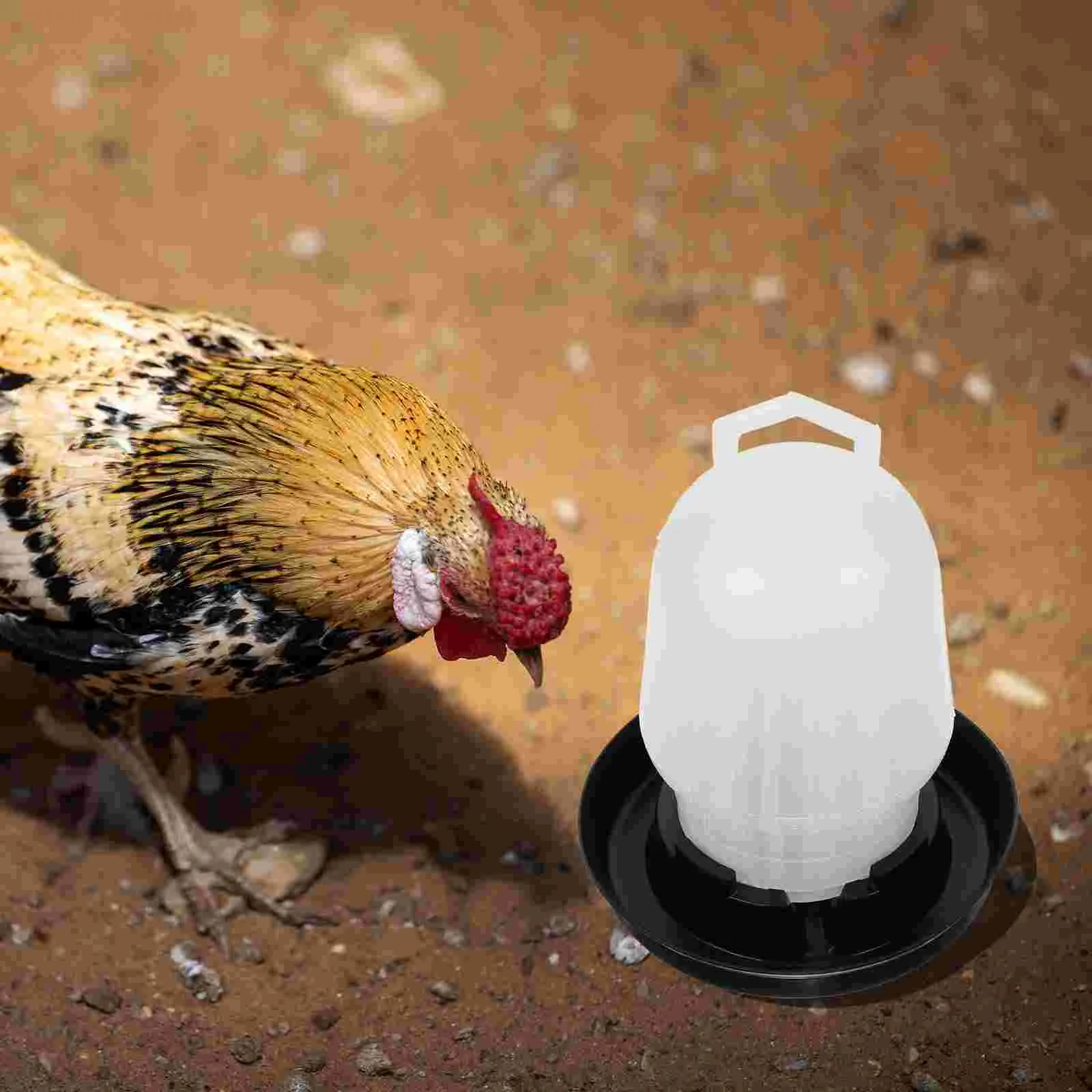 Wholesale Optimized Product Title: Large Capacity Automatic Chicken ...
