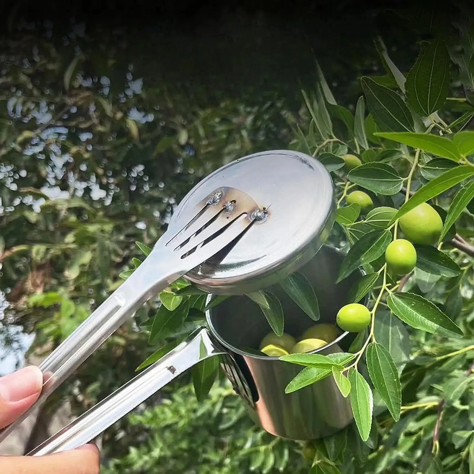 Jujube Portable Mango Picker Tool Bunnings Multipurpose, Labor Saving ...