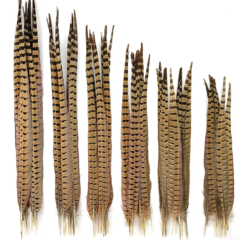 Natural Pheasant Tail Feathers - Long Plumes for Crafts, Weddings ...