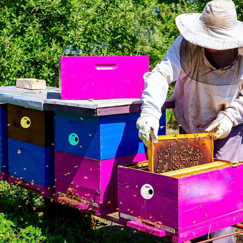 Organic Plastic Bee Bee Flow Box For Entrance Gate, Nest Door, And Horizontal Hives Ideal For ...