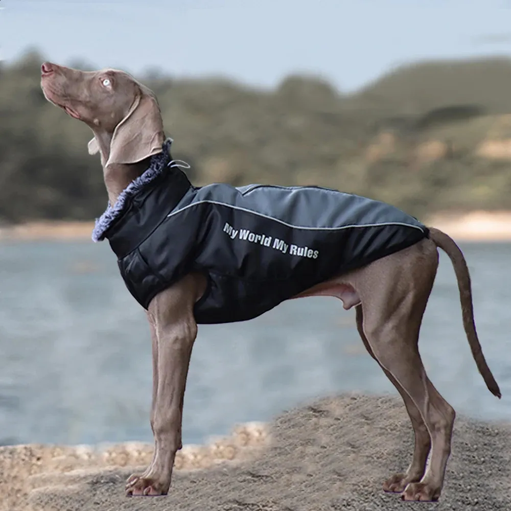 Madden Waterproof Large Dog Jacket Vest Warm High... From Wealdstore ...