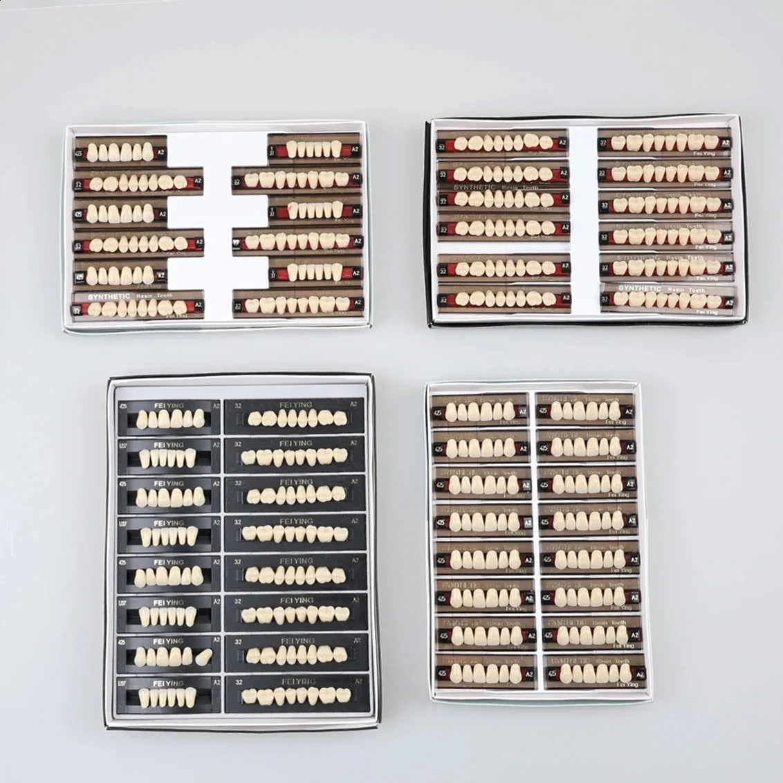 teeth model for education: Synthetic Polymer Denture for Upper ...